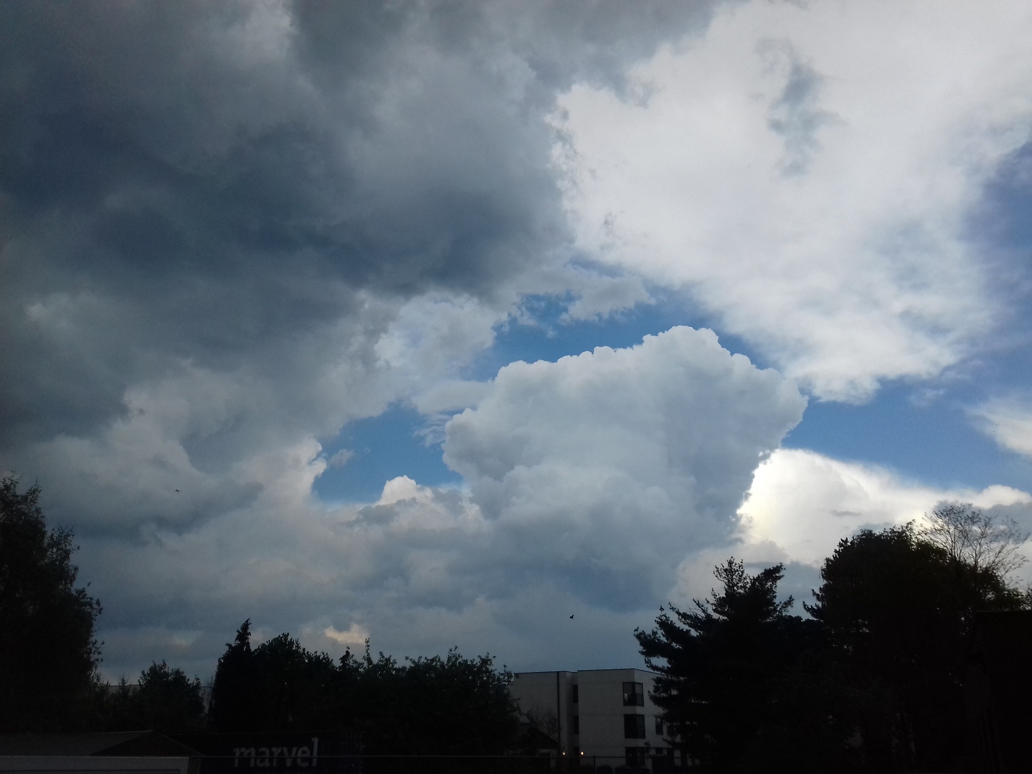 Weerwoord | Re: 2de onweer in de maak in het zuiden