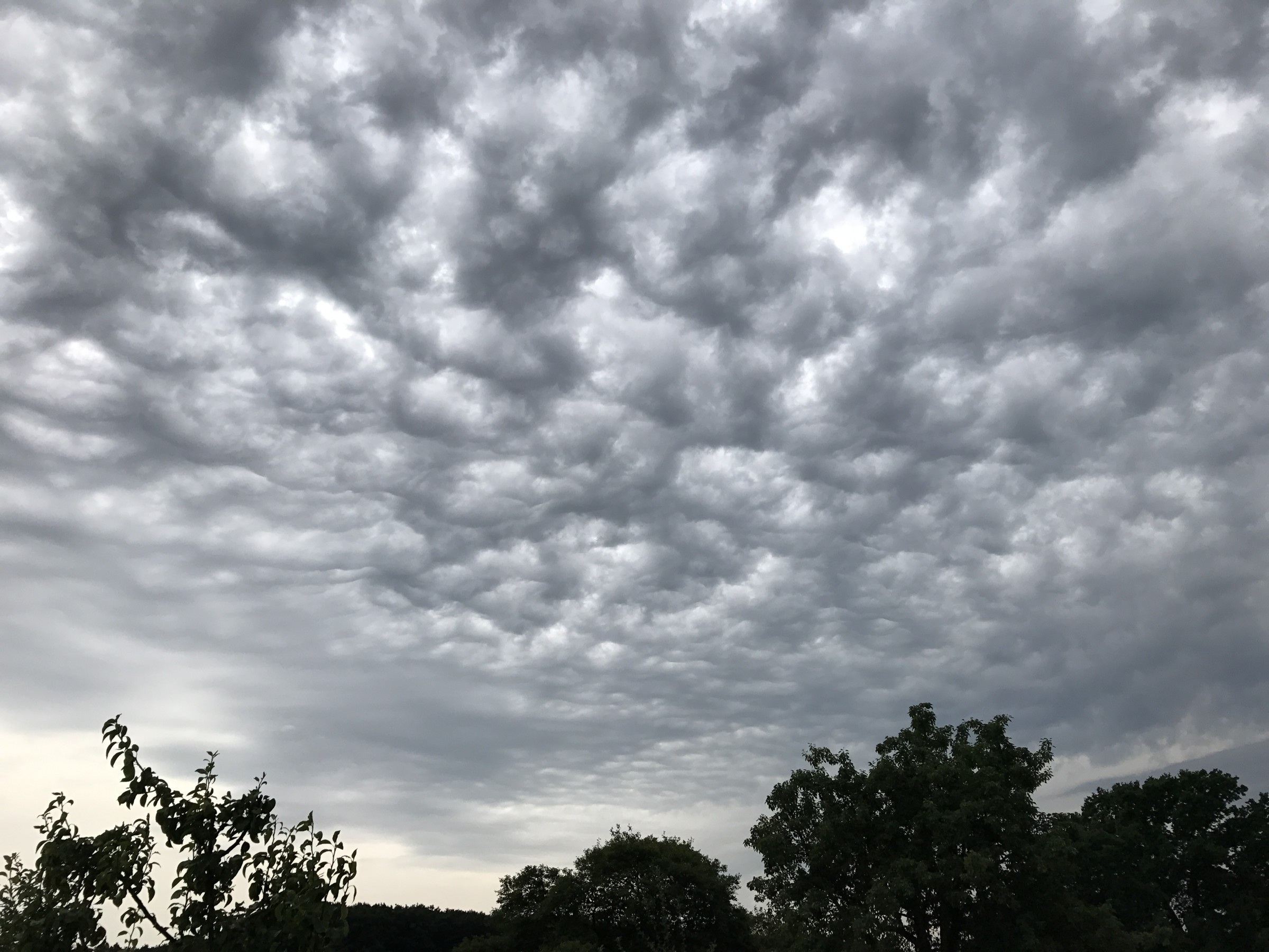 Weerwoord | Mooie wolken voor de buien uit