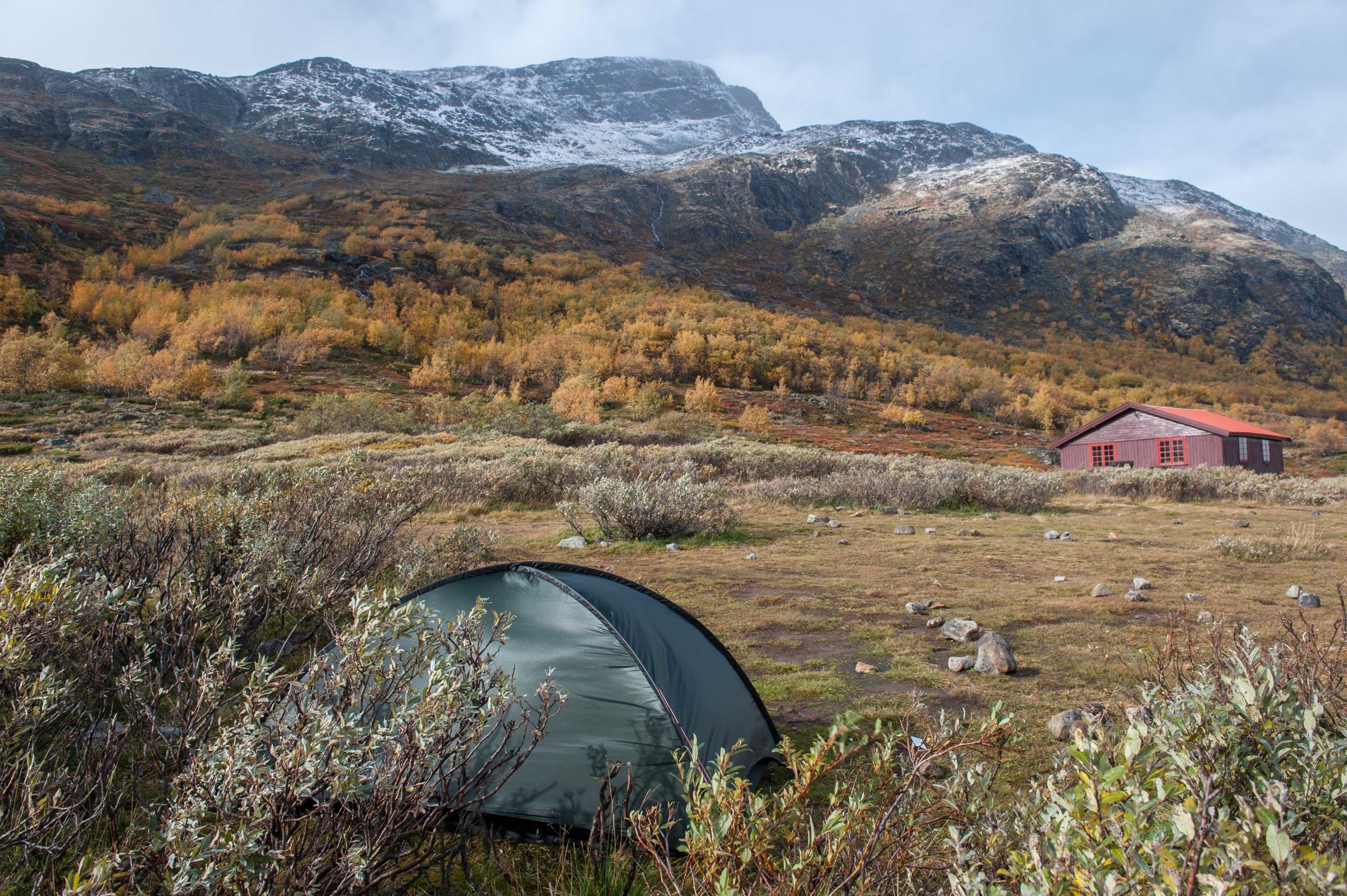 Weerwoord | Wonderschoon Willem. Een bescheidener bijdrage uit Noorwegen.