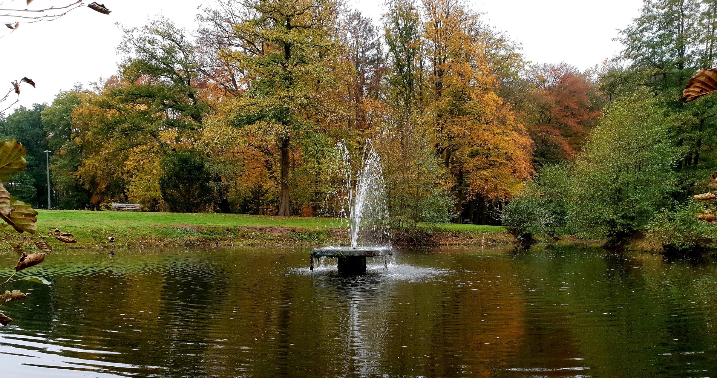 Weerwoord | Nu moet je nog van de mooi natuur profiteren,