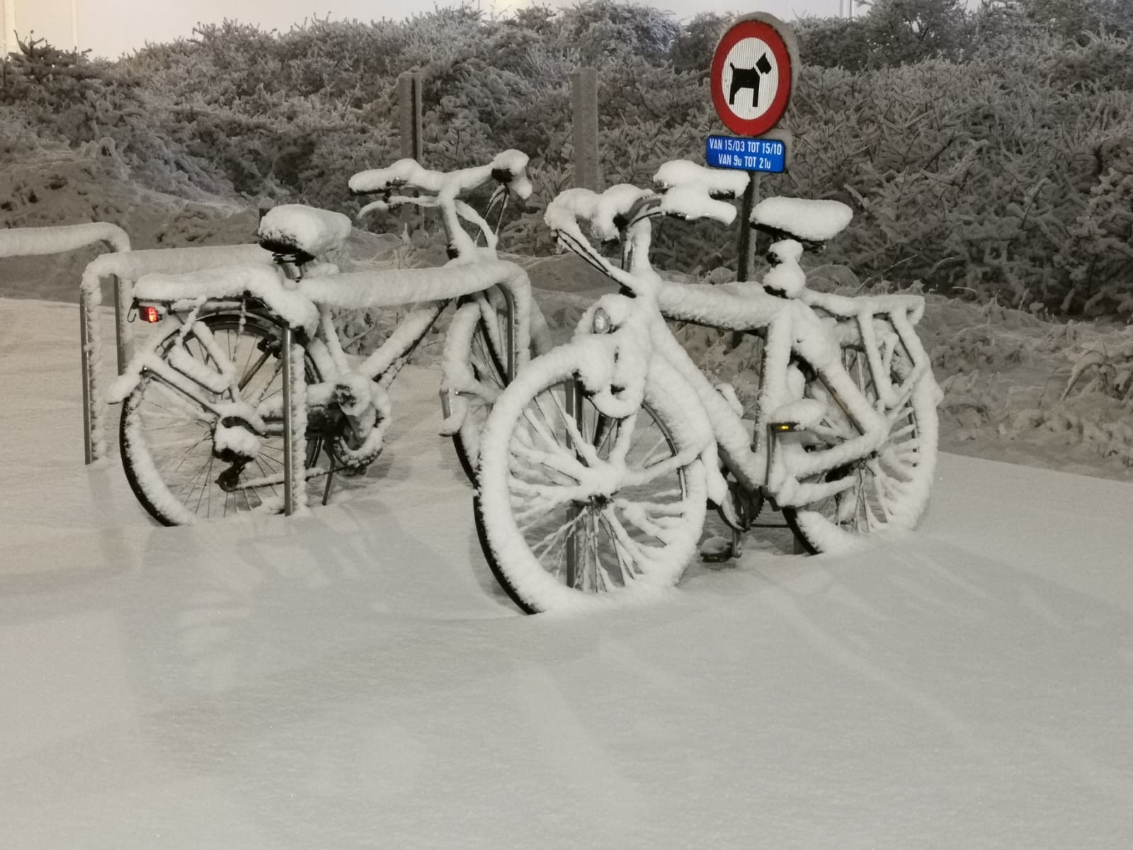 Weerwoord | Rondje 6u30? Zeker 5 cm, Tact -0.4, en dat zal te voet zijn ...