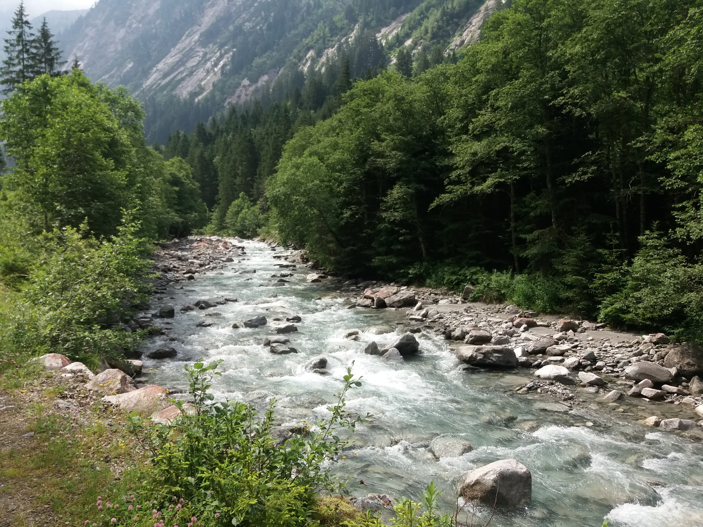 Weerwoord | Van beekje naar kolkende rivier