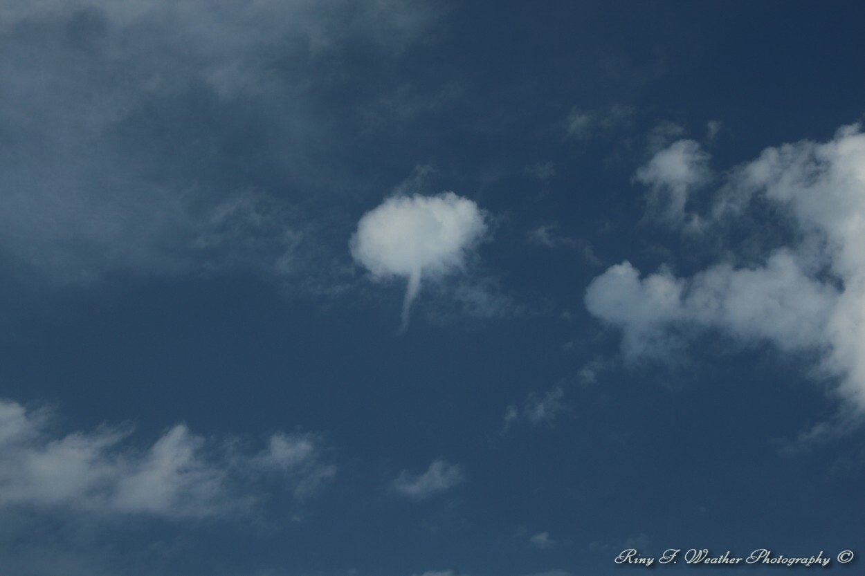 Weerwoord | Mini-slurfje waargenomen in ac. floccus